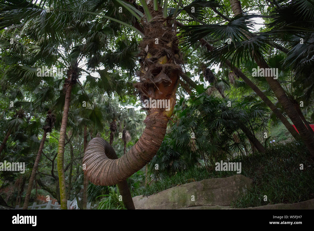 Irradiation hi-res stock photography and images - Alamy