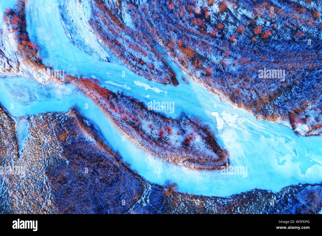 Landscape of the willow forest covered with snow along the Zhadun River ...