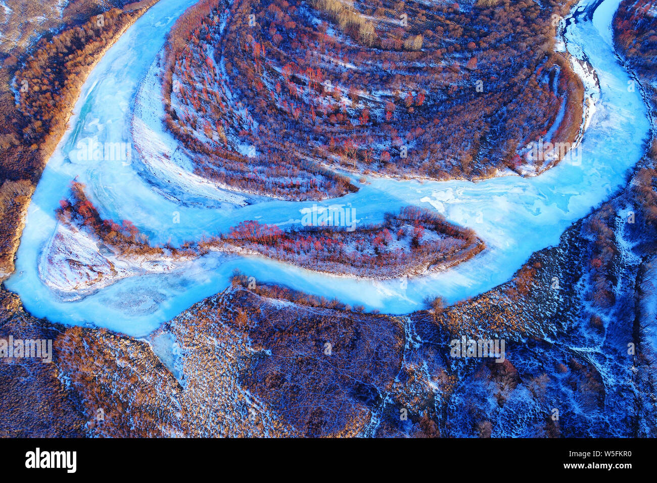 Landscape of the willow forest covered with snow along the Zhadun River ...