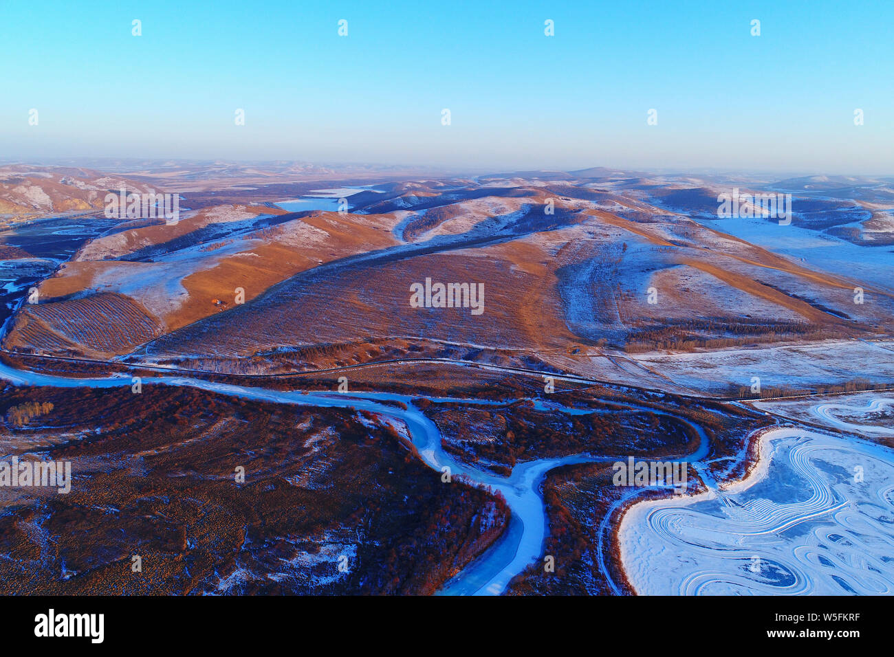 Landscape of the willow forest covered with snow along the Zhadun River ...