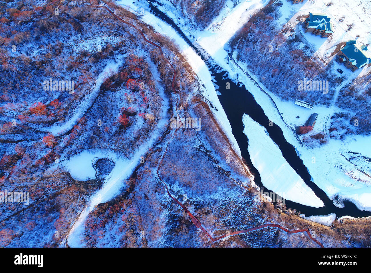 Landscape of the willow forest covered with snow along the Zhadun River ...