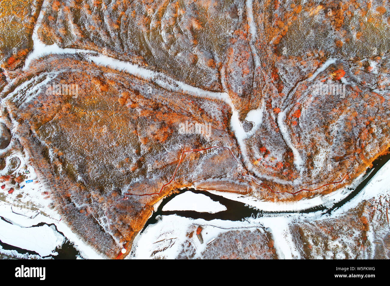 Landscape of the willow forest covered with snow along the Zhadun River ...