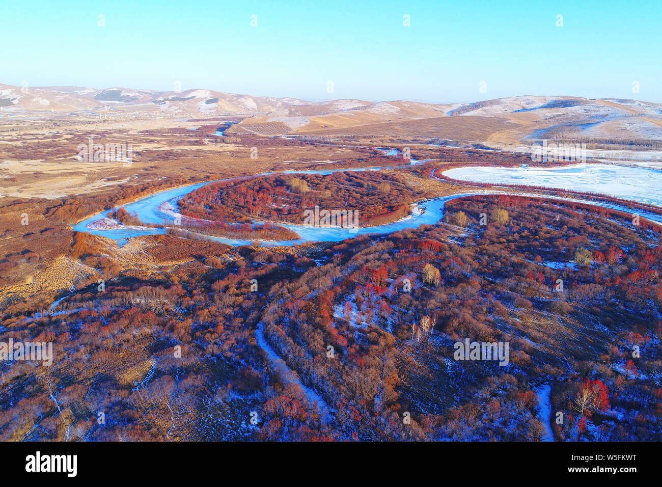 Landscape of the willow forest covered with snow along the Zhadun River ...