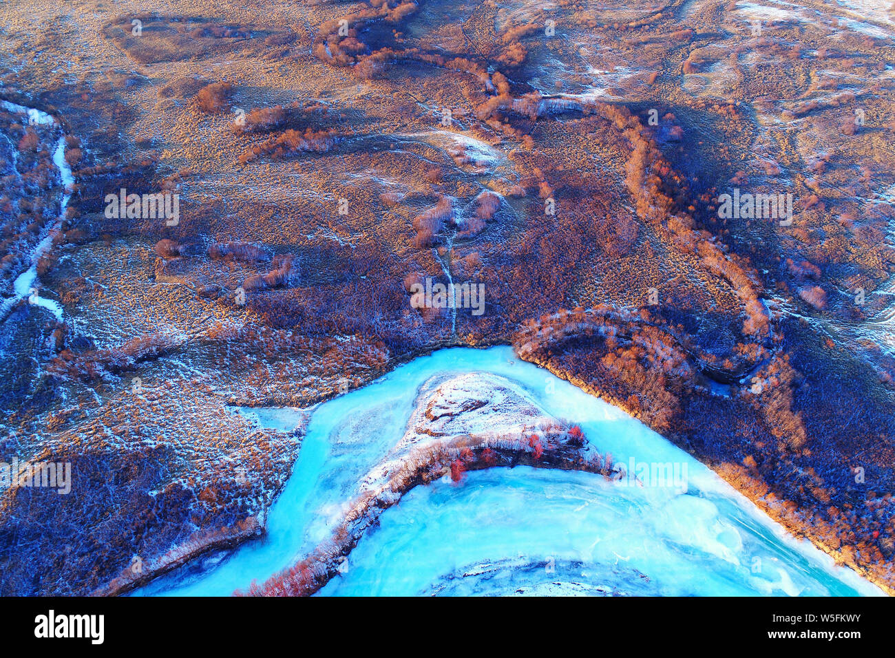 Landscape of the willow forest covered with snow along the Zhadun River ...