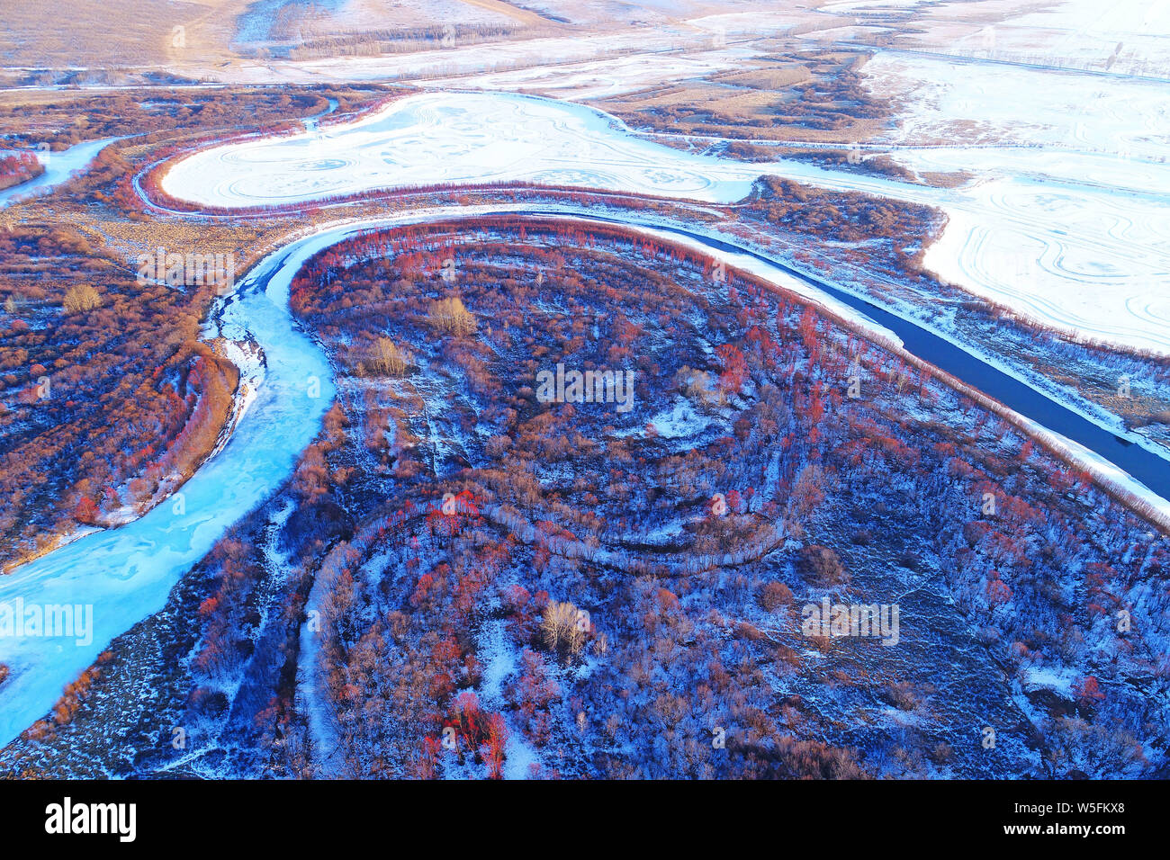 Landscape of the willow forest covered with snow along the Zhadun River ...