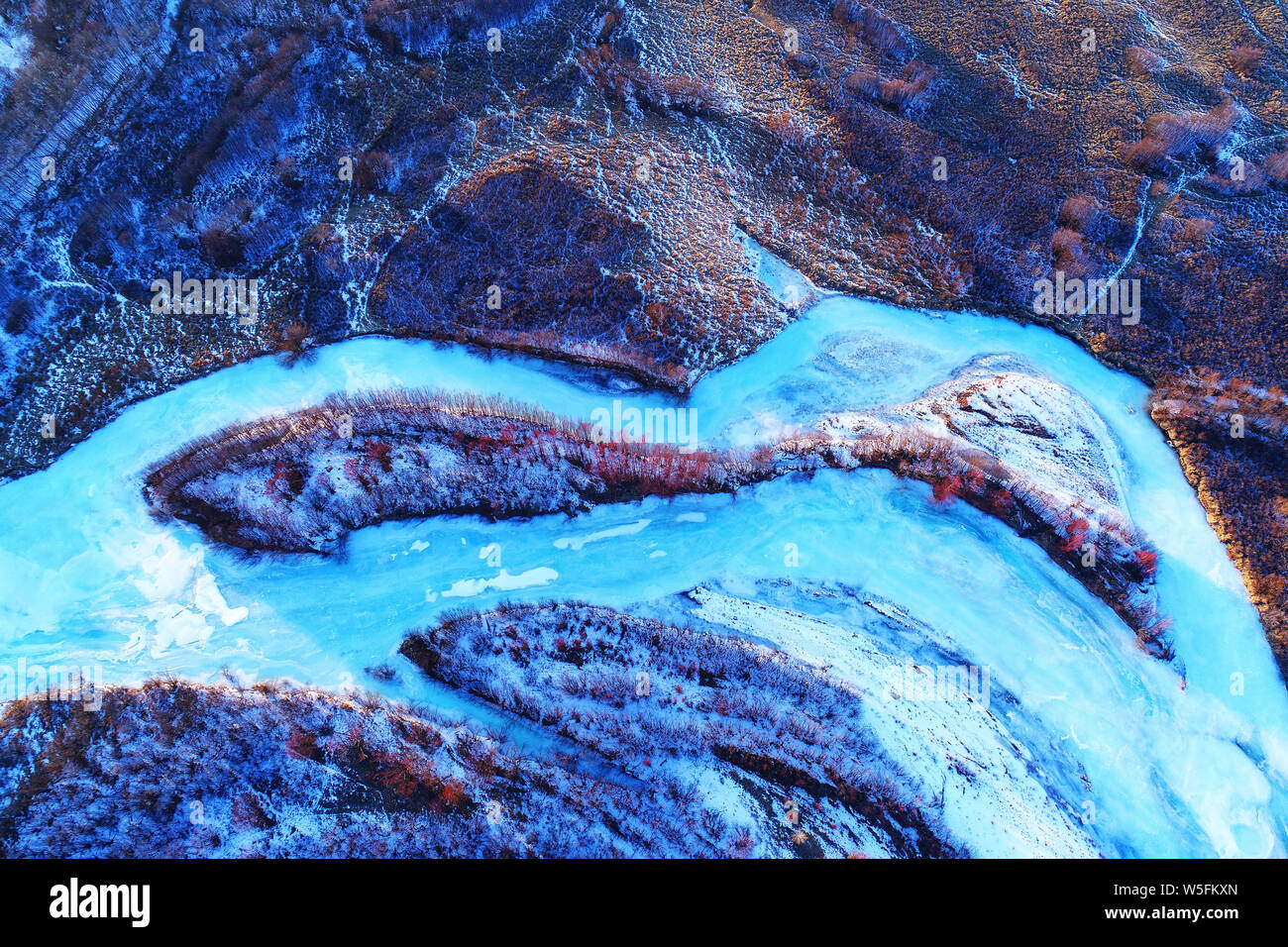 Landscape of the willow forest covered with snow along the Zhadun River ...