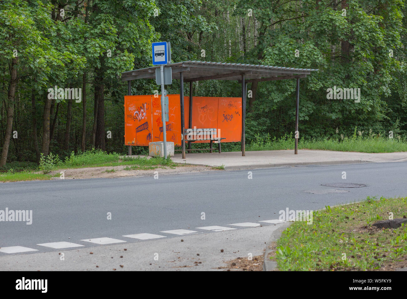 City Riga, Latvia Republic. Bus stop in the forest. Asphalt and trees ...