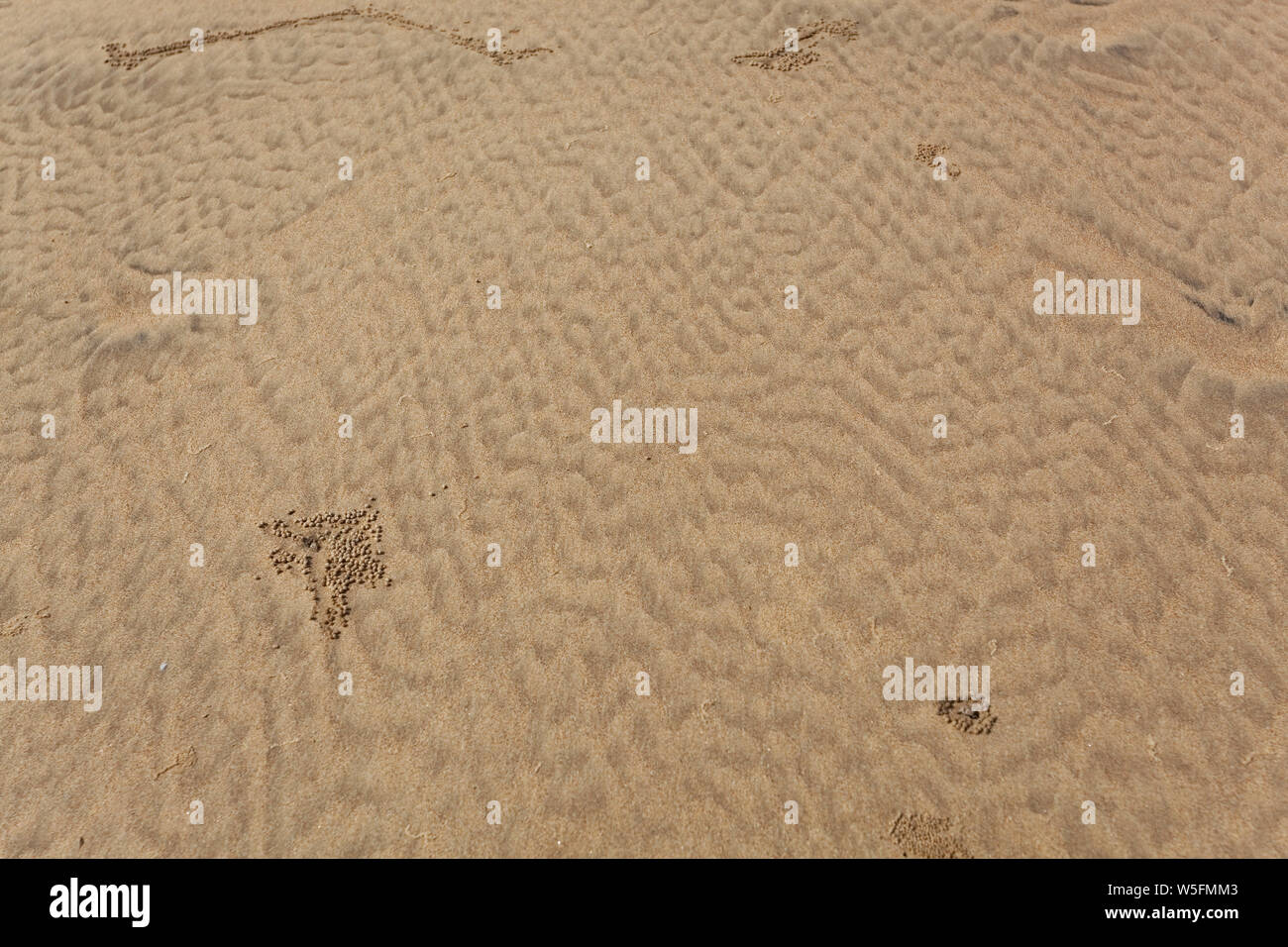 Aare ware beach view showing pattern in sand.Ratnagiri,Maharashtra ...