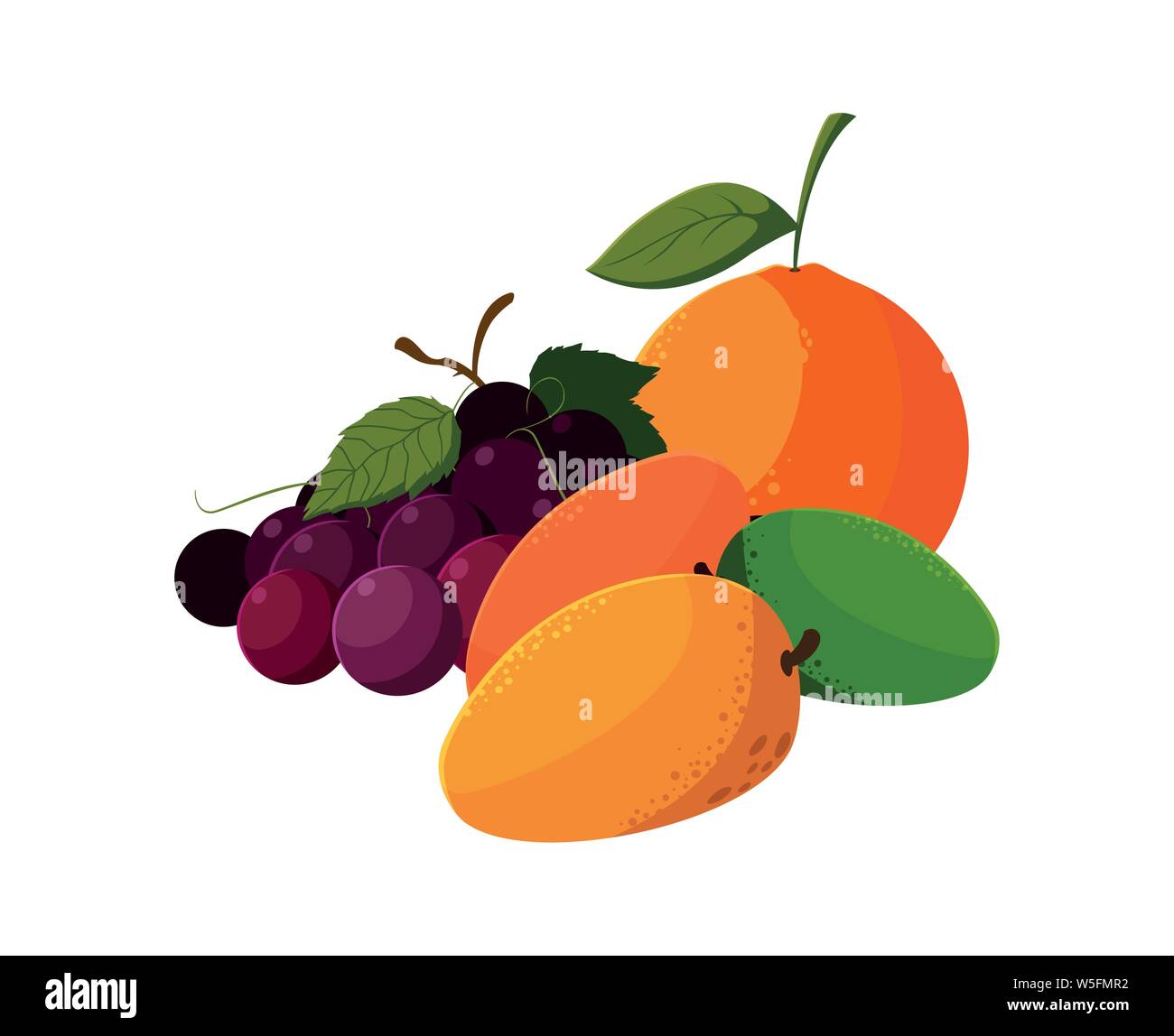 fresh fruits grapes orange mangoes vector illustration Stock Vector ...