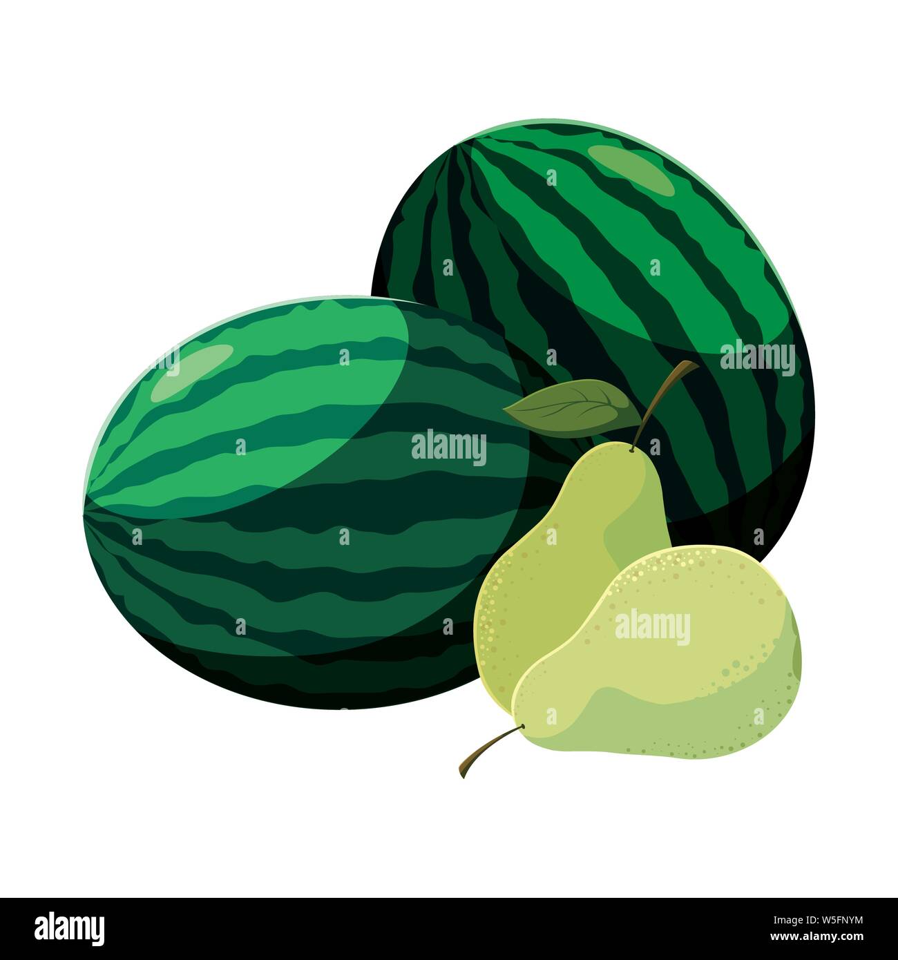 fresh fruits watermelon and pears vector illustration Stock Vector ...