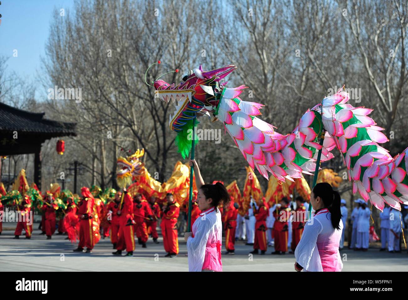 Chinese entertainers perform a dragon dance to celebrate the Dragon ...