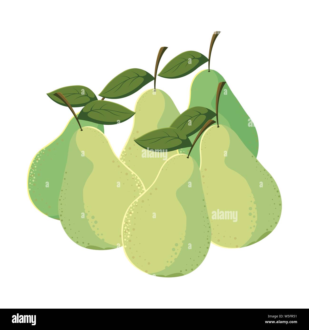 pears fresh fruit in white background vector illustration Stock Vector ...