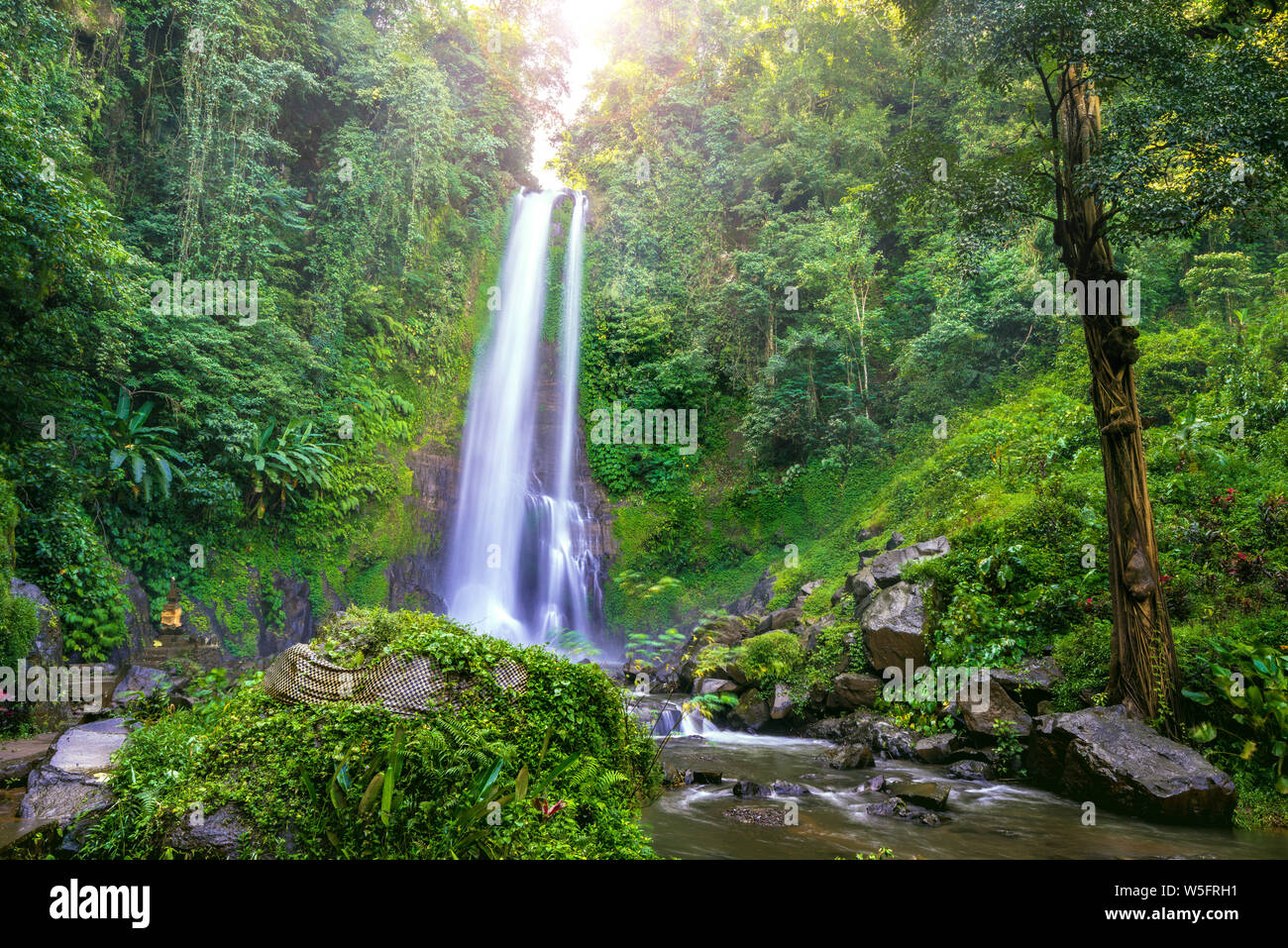 Beautiful waterfall hidden in the tropical jungle of Bali, Indonesia ...