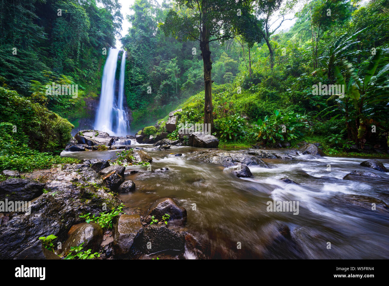 Hidden waterfall bali hi-res stock photography and images - Alamy