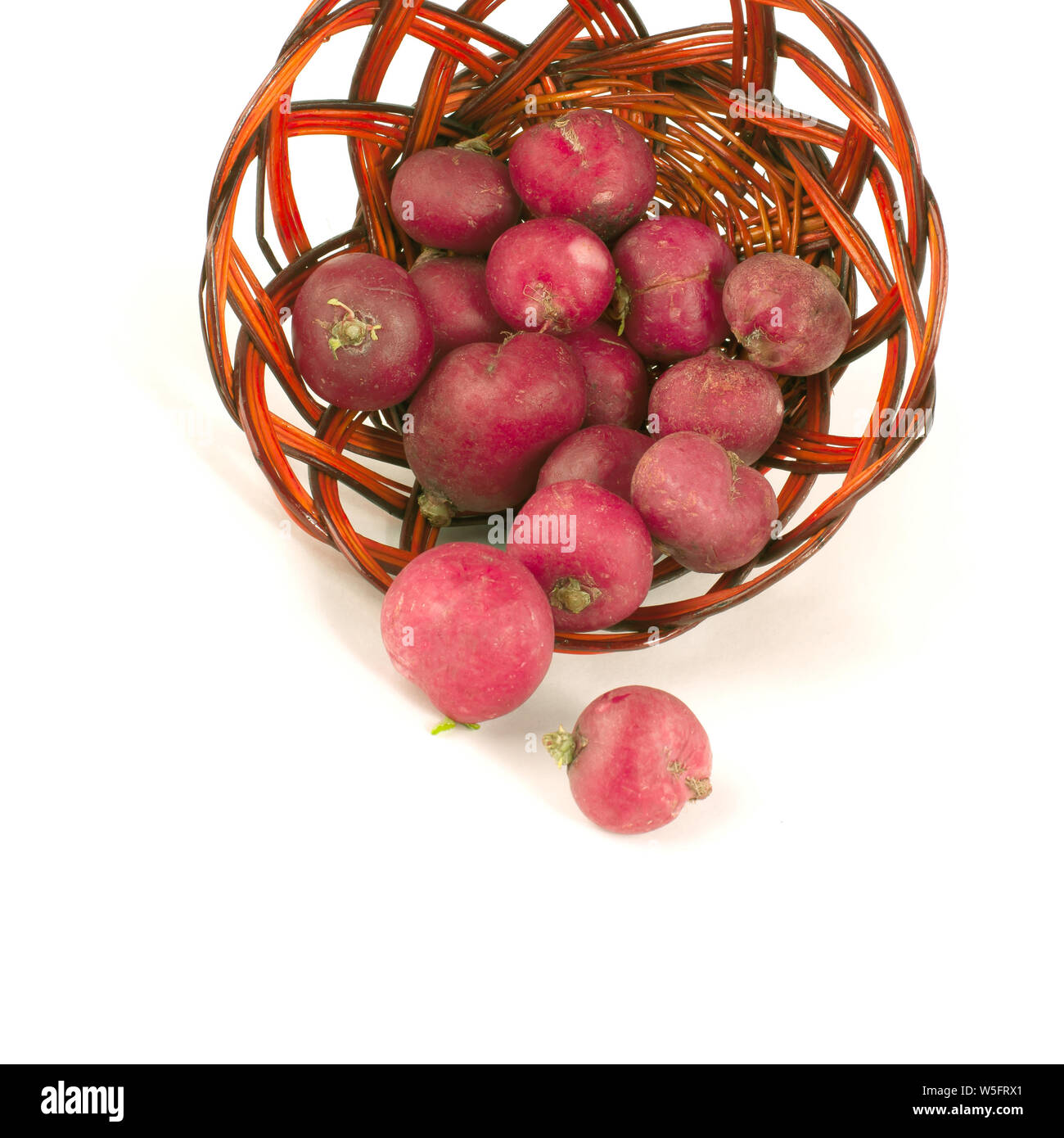 Organic farm radish in Cut Out Stock Images & Pictures - Alamy