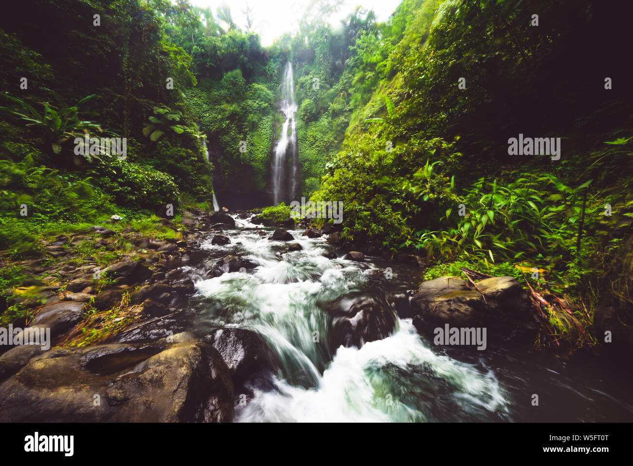 Beautiful waterfall hidden in the tropical jungle of Bali, Indonesia ...