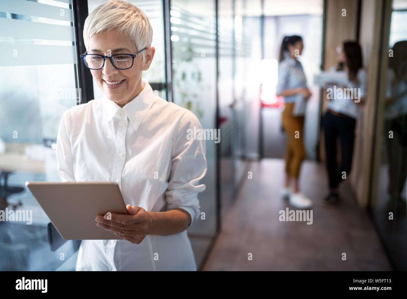 Senior female career professional, business, accountant, attorney ...