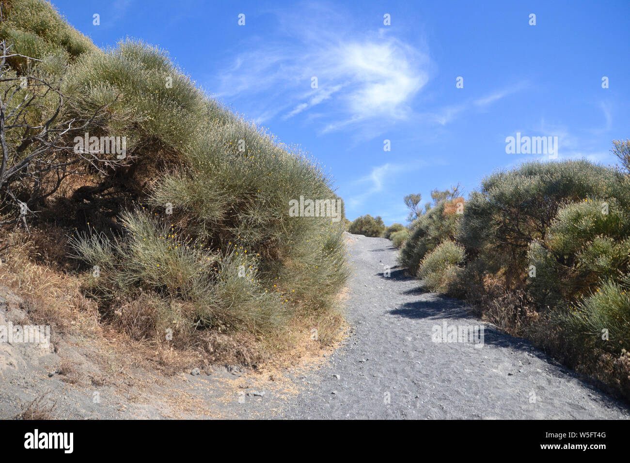 Landscape of Volcano island in Sicily Stock Photo - Alamy