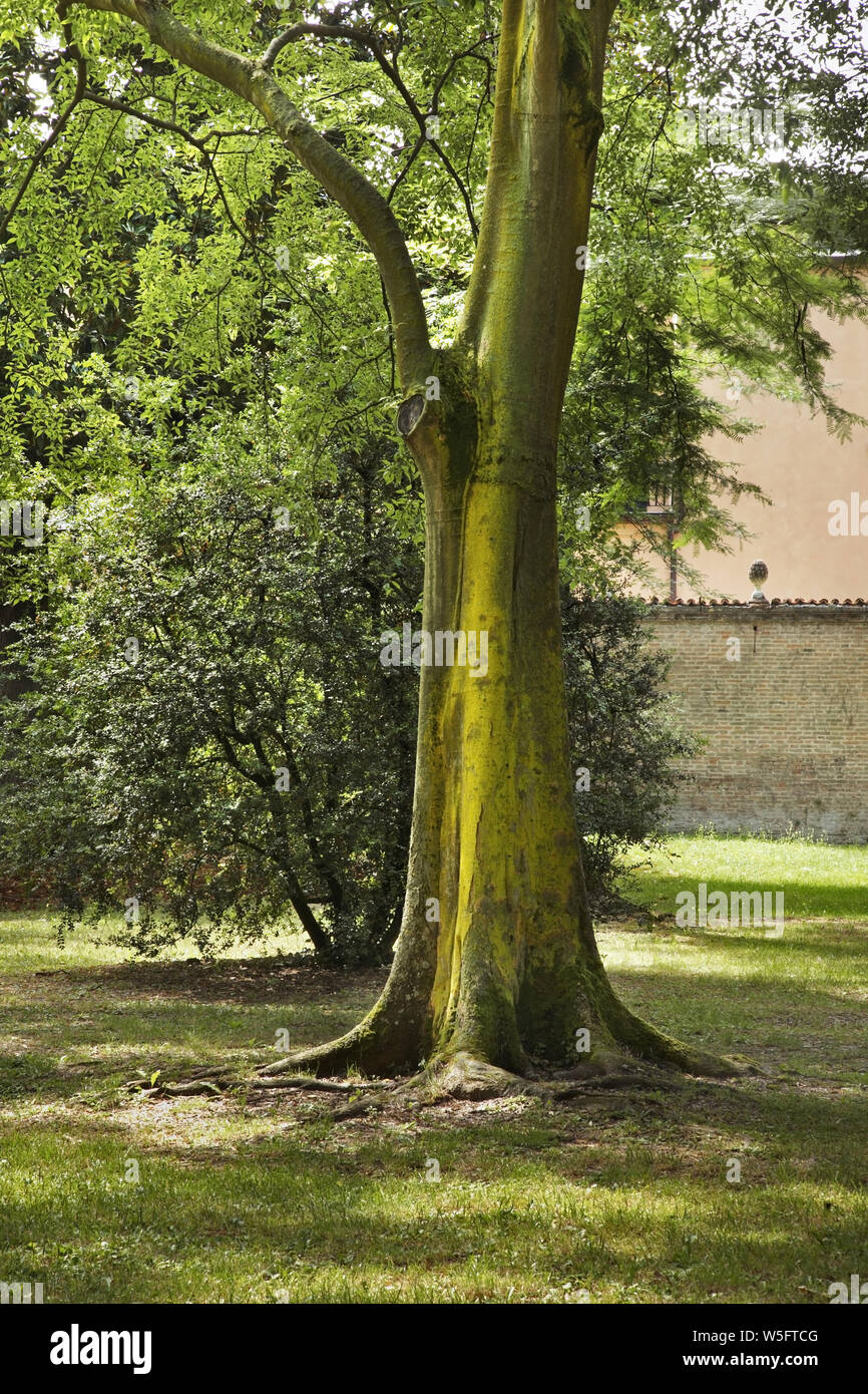 Massari park in Ferrara. Italy Stock Photo - Alamy
