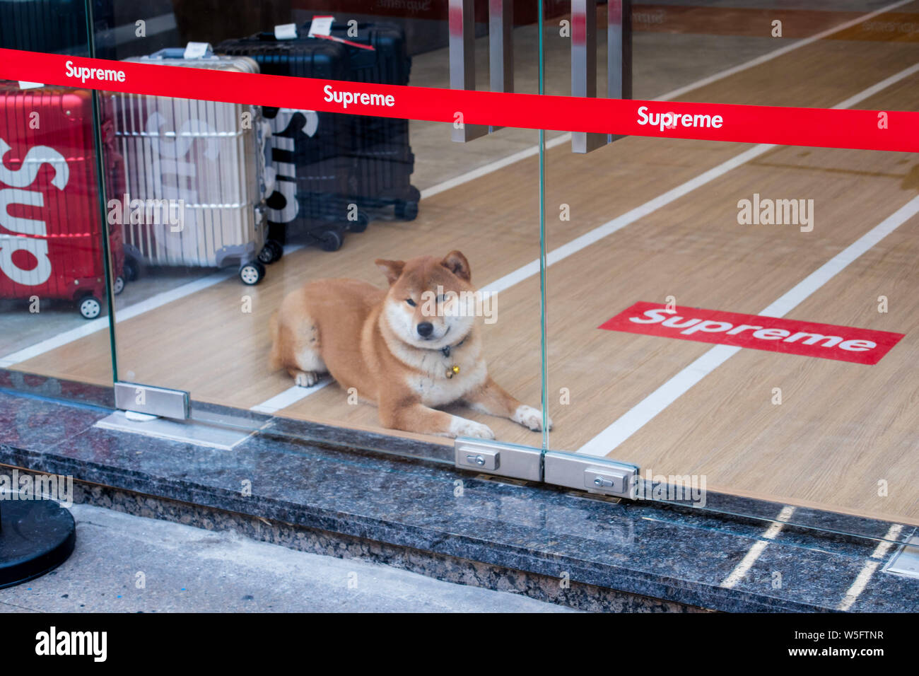 Supreme store hi-res stock photography and images - Alamy