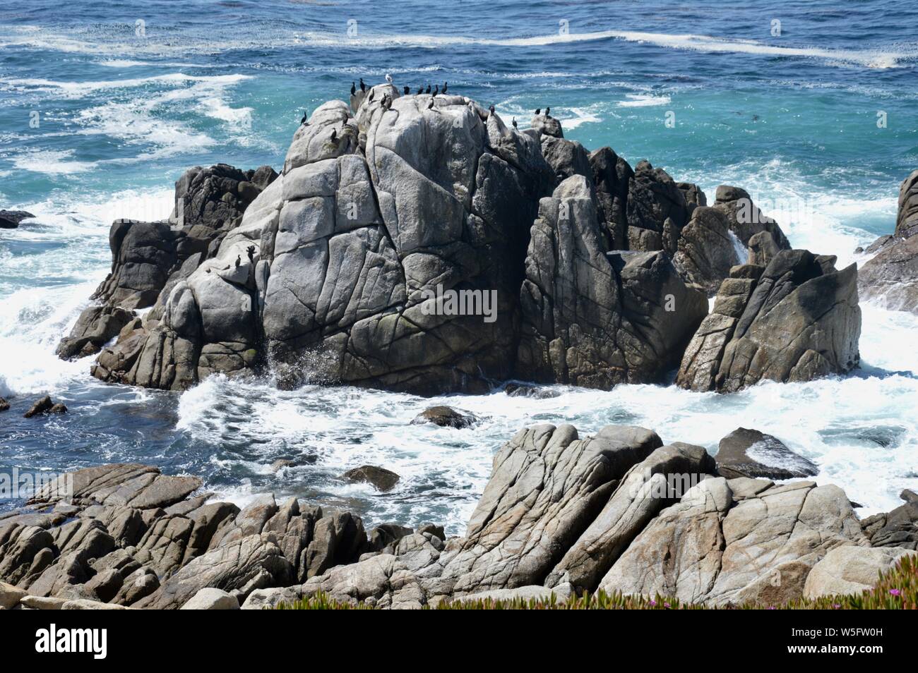 beautiful and famous bird rock in Southern California Stock Photo - Alamy