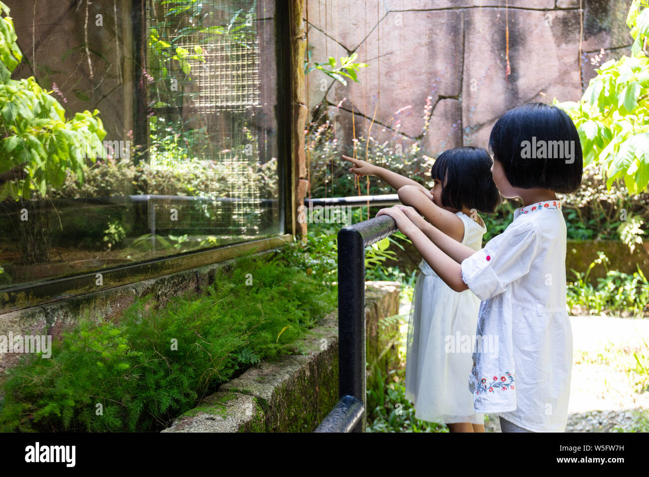 Person watching zoo animals hi-res stock photography and images - Alamy