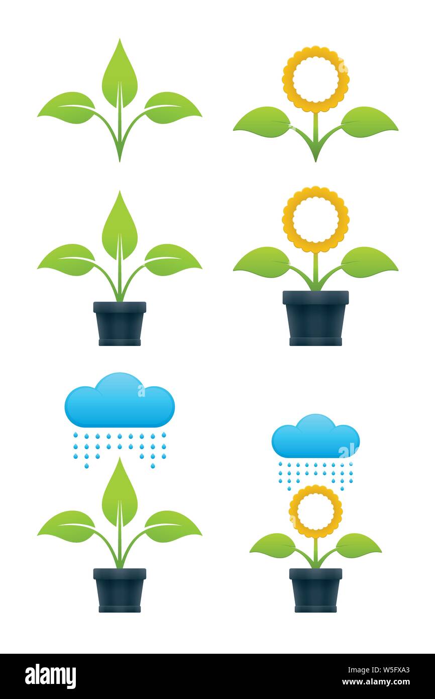 Various sprout symbols on white background. Abstract plant icons design ...