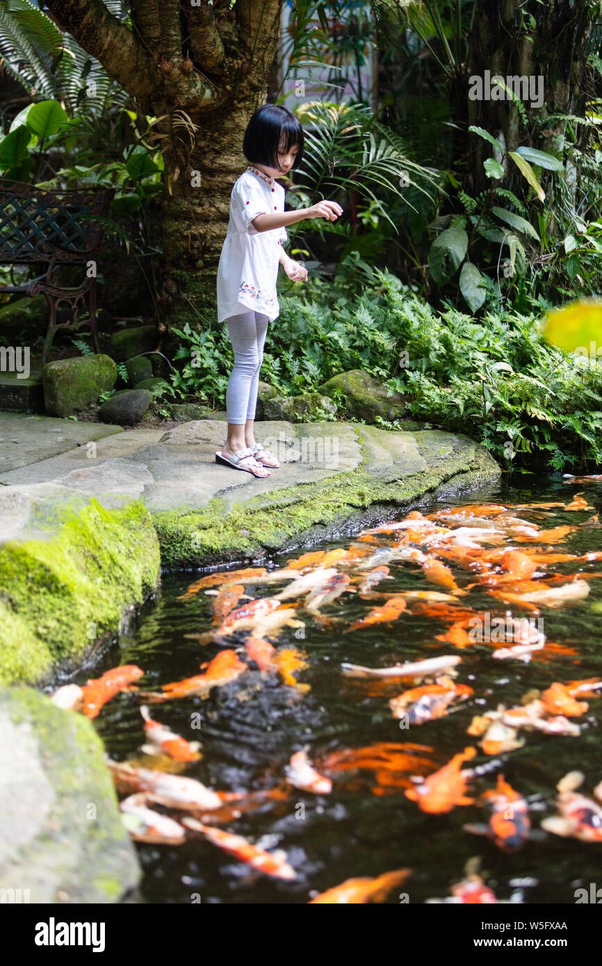 Girl feeding pet fish hi-res stock photography and images - Alamy