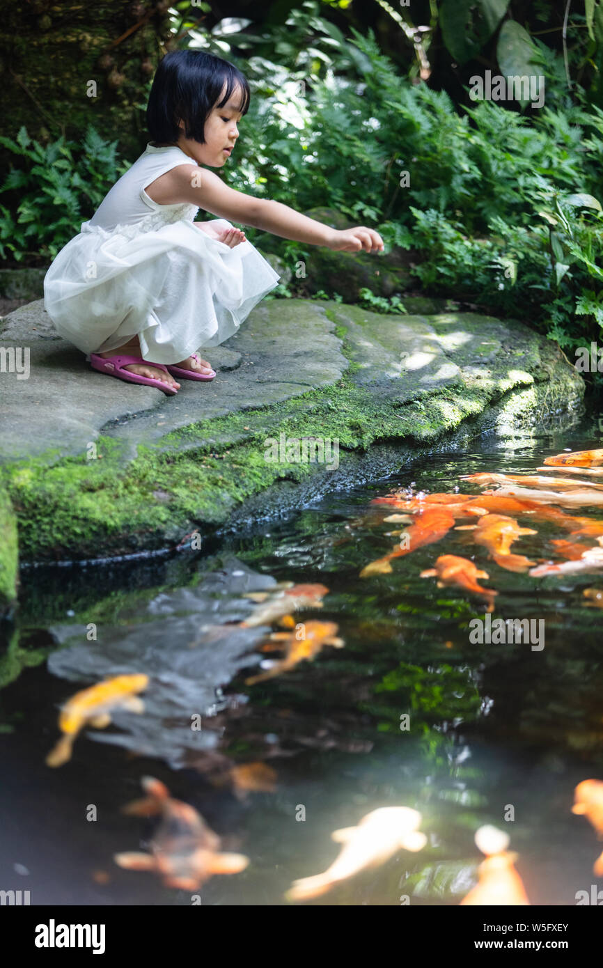 Feeding goldfish hi-res stock photography and images - Alamy