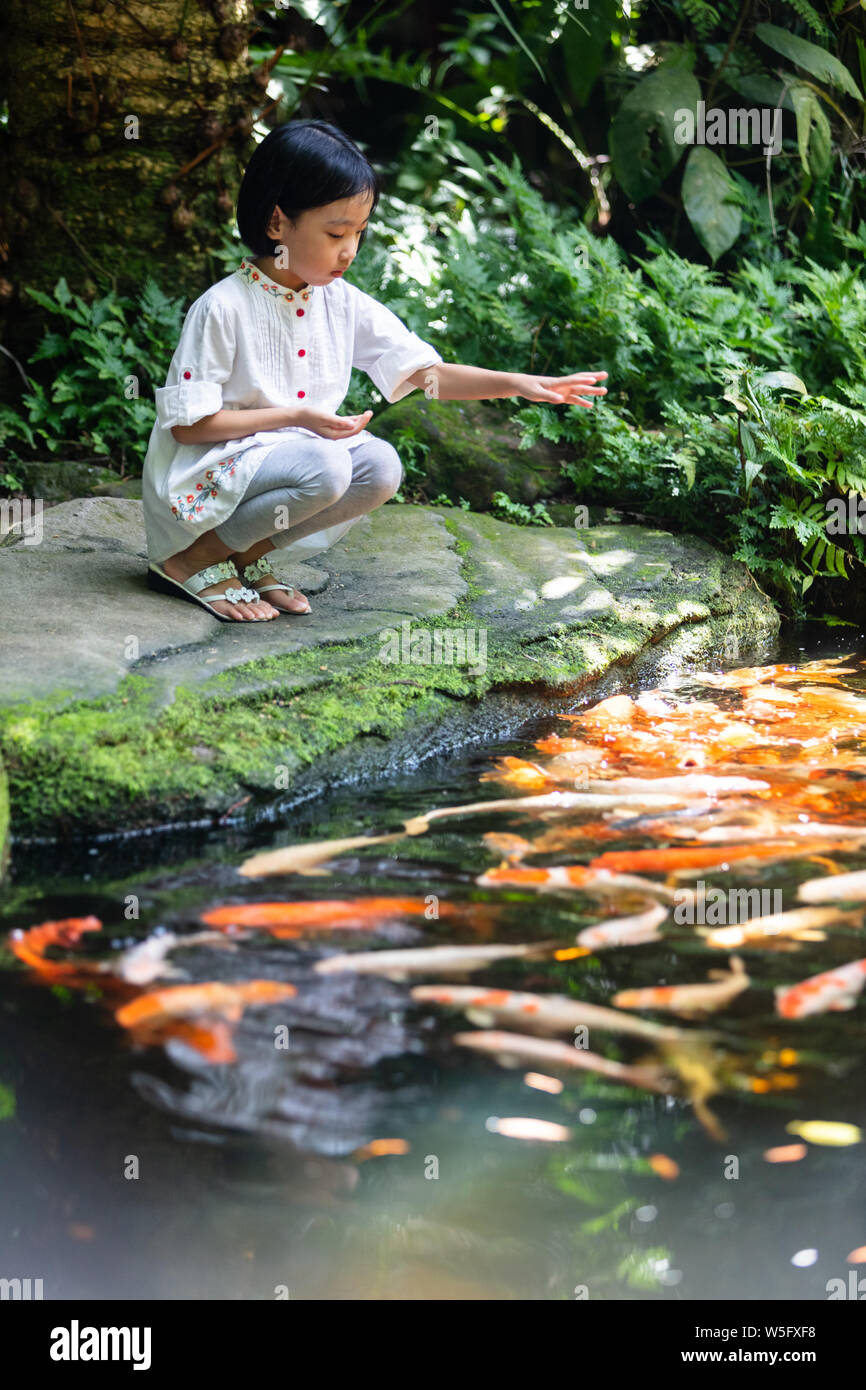 Children feeding fish hi-res stock photography and images - Alamy