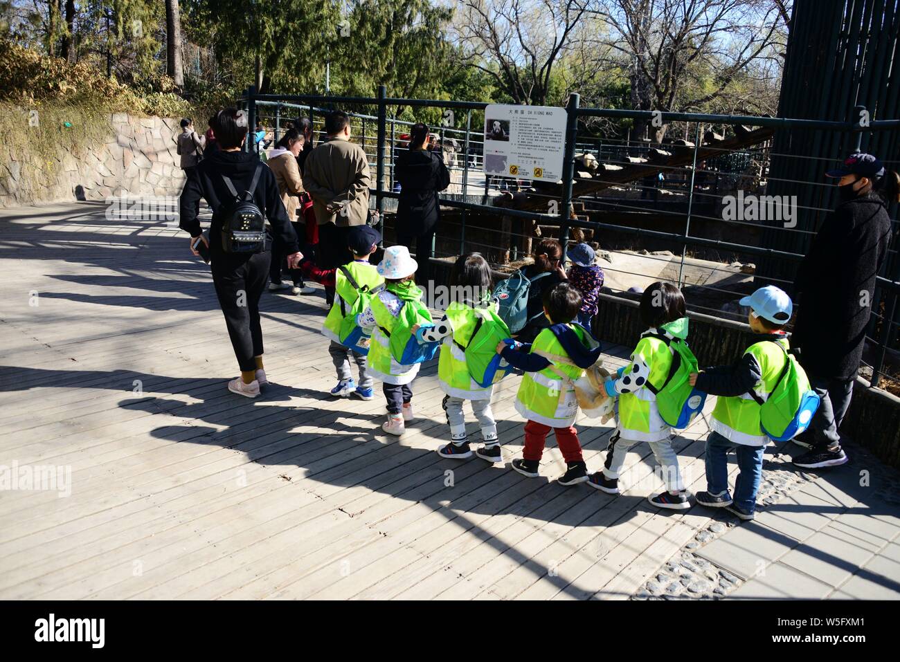 Children dressed in green costumes, under the lead of a teacher, walk ...