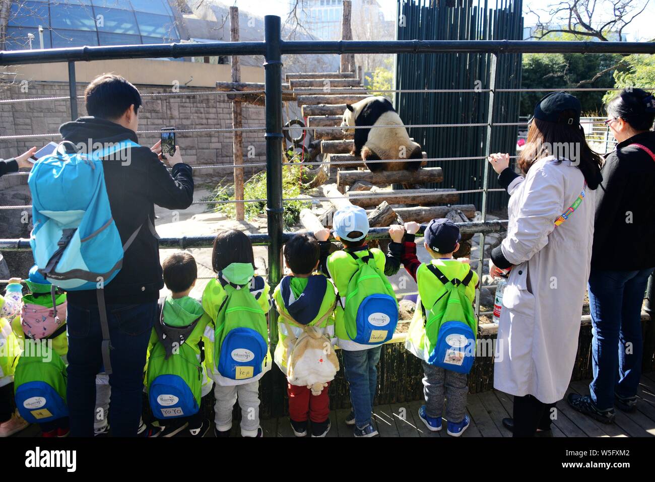 Children dressed in green costumes, under the lead of a teacher, walk ...