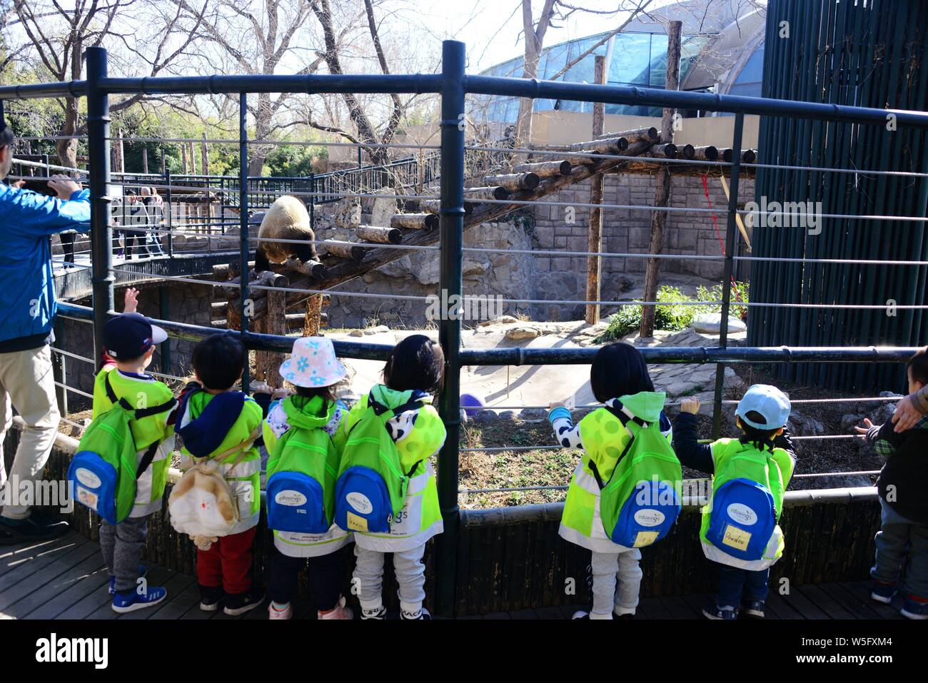 Children dressed in green costumes, under the lead of a teacher, walk ...