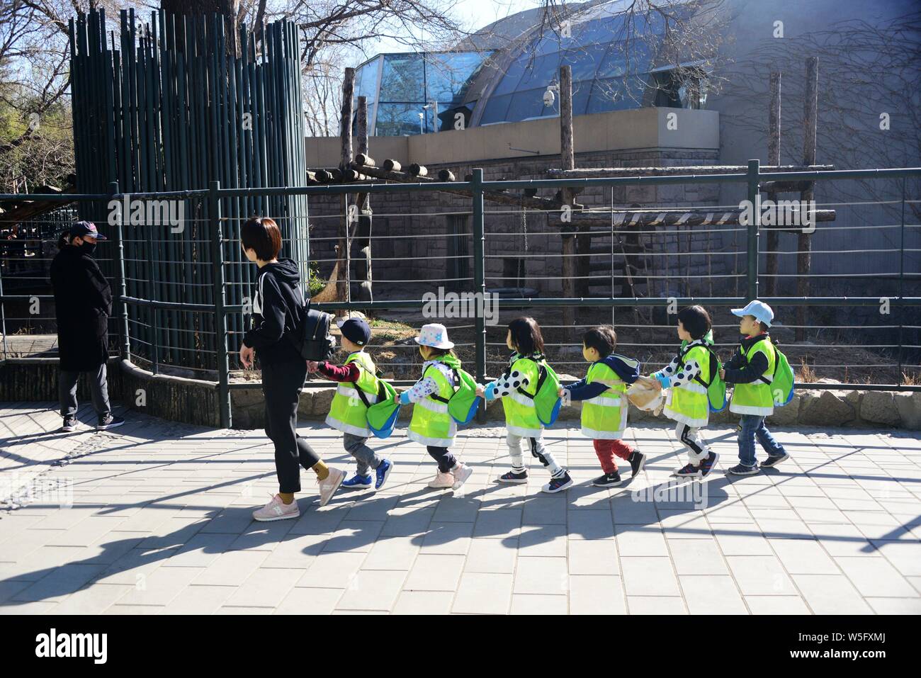 Children dressed in green costumes, under the lead of a teacher, walk ...