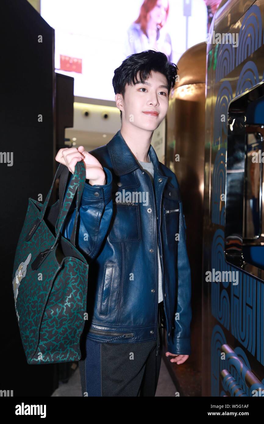 Chinese singer Fan Chengcheng, the younger brother of actress Fan ...