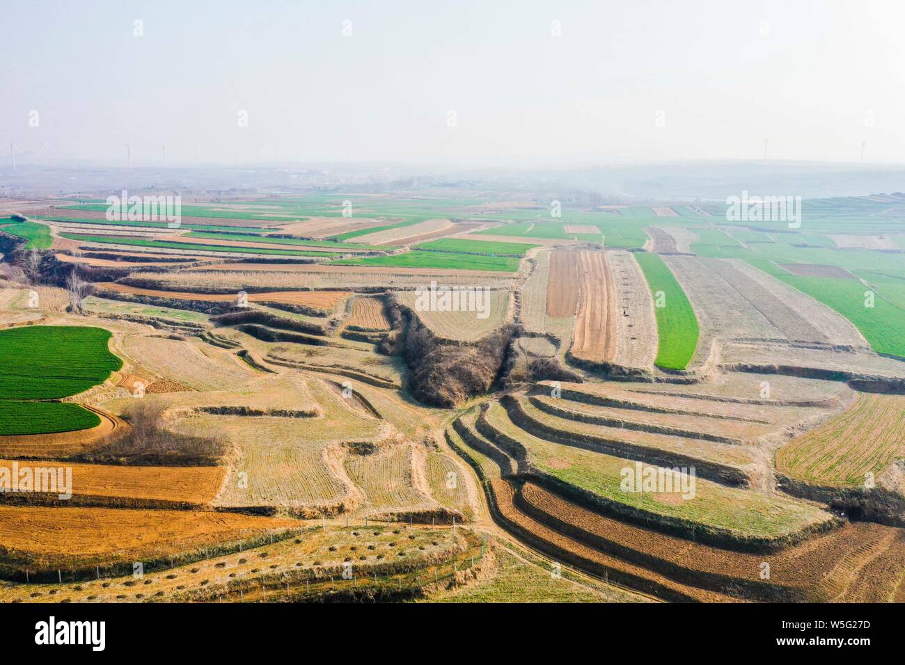 Aerial view of the green paddy fields featuring the shape of emeralds ...