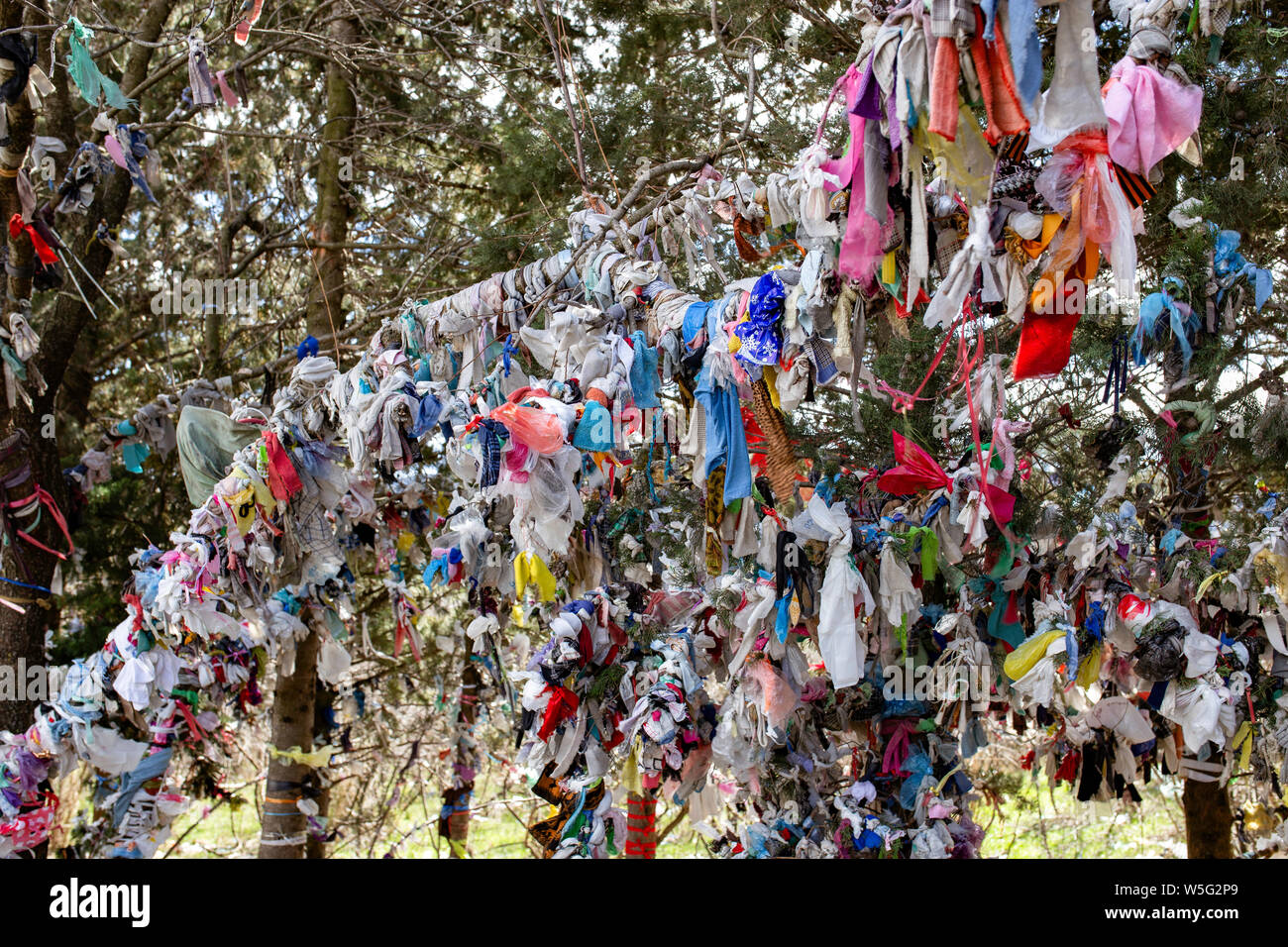 Making a mess. Wedding tradition in Georgia, Decoration - colorful ...