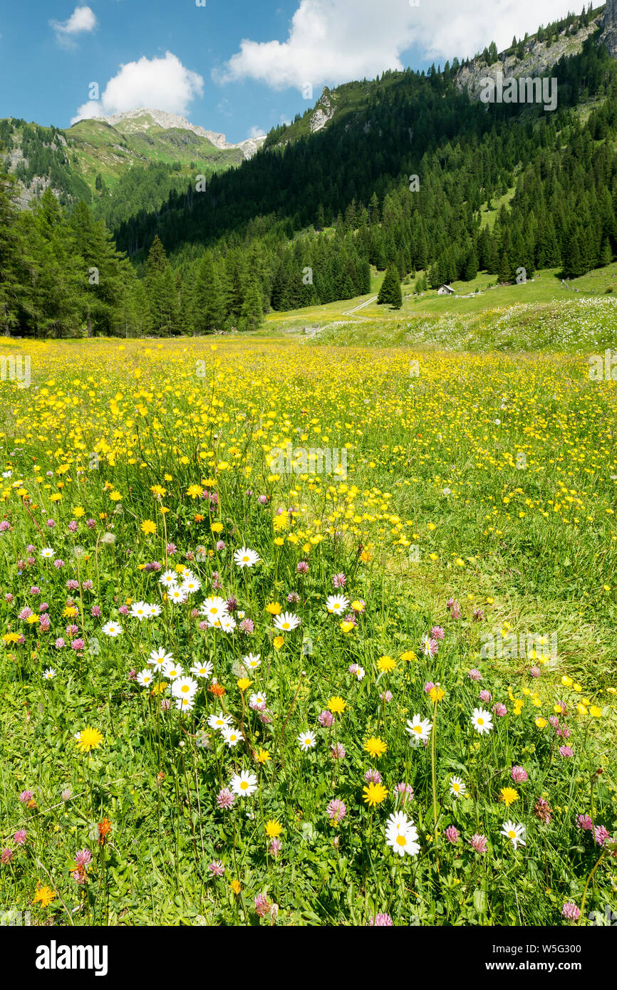 Austria, UNESCO's Biosphere Reserve Salzburg's Lungau,Riedingtal Nature ...