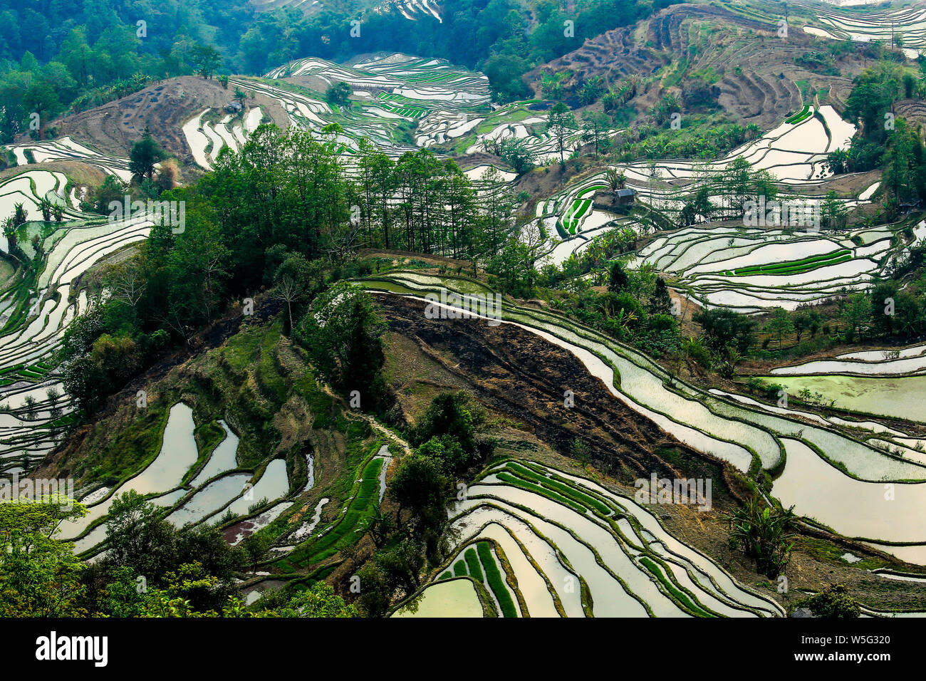 Landscape of the Yuanyang Rice Terraces in Yuanyang county, Honghe Hani ...