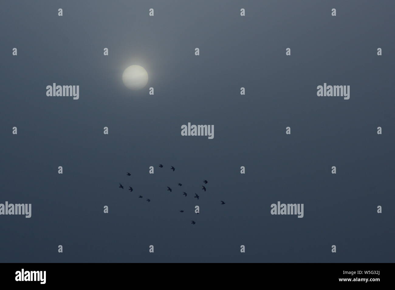 High-rising buildings are seen vaguely in a sandstorm at sunrise in ...