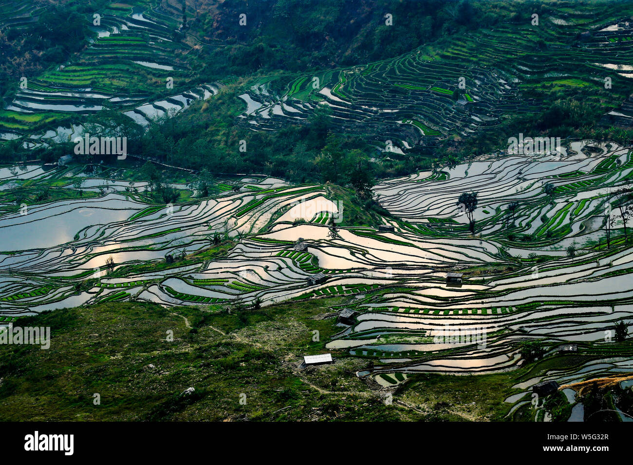Landscape of the Yuanyang Rice Terraces in Yuanyang county, Honghe Hani ...