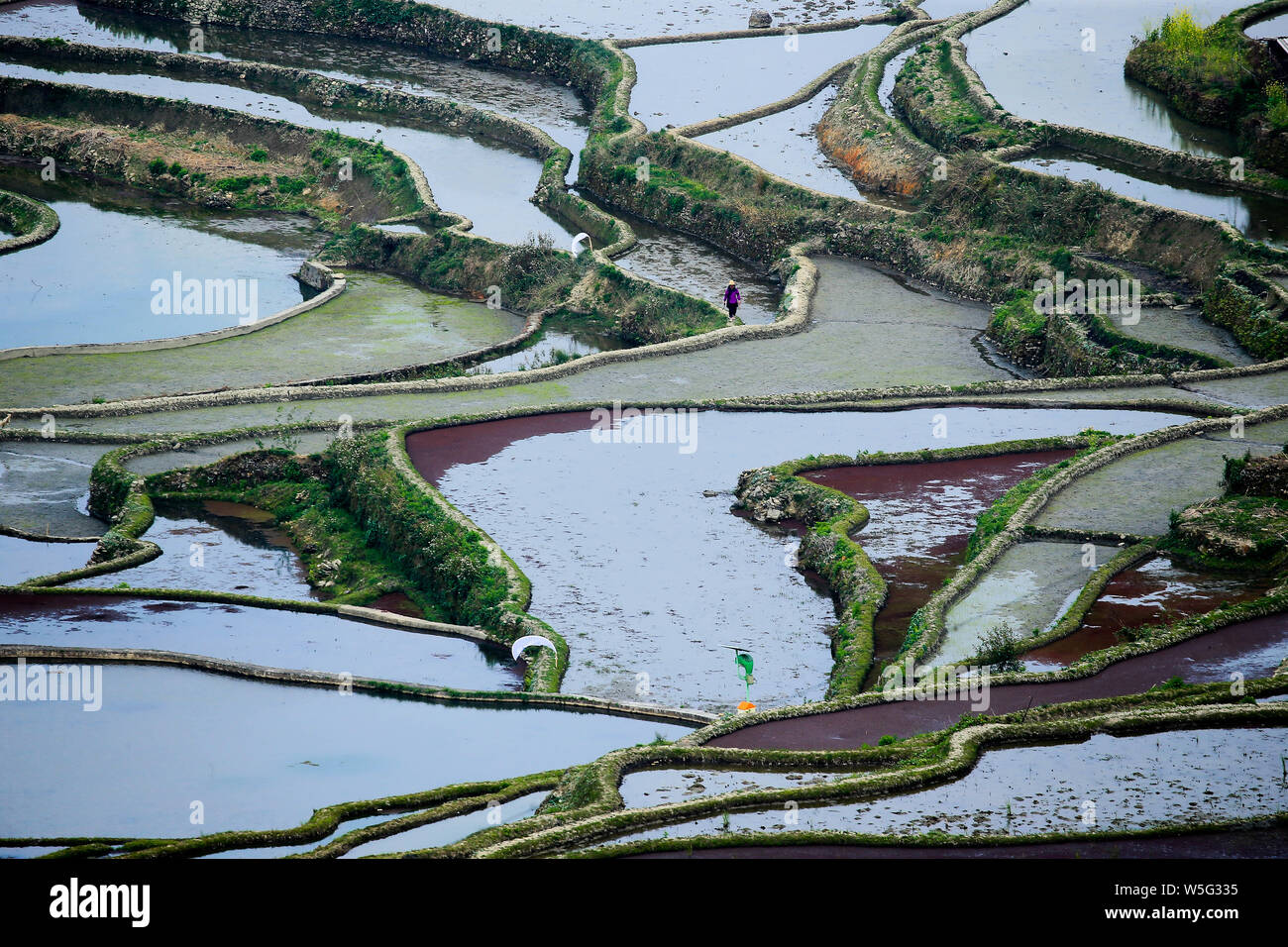 Landscape of the Yuanyang Rice Terraces in Yuanyang county, Honghe Hani ...