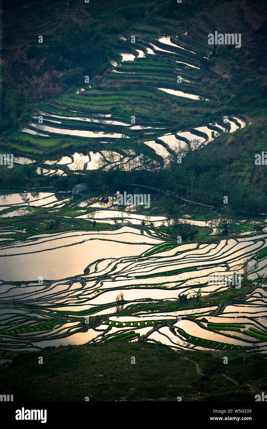 Landscape of the Yuanyang Rice Terraces in Yuanyang county, Honghe Hani ...