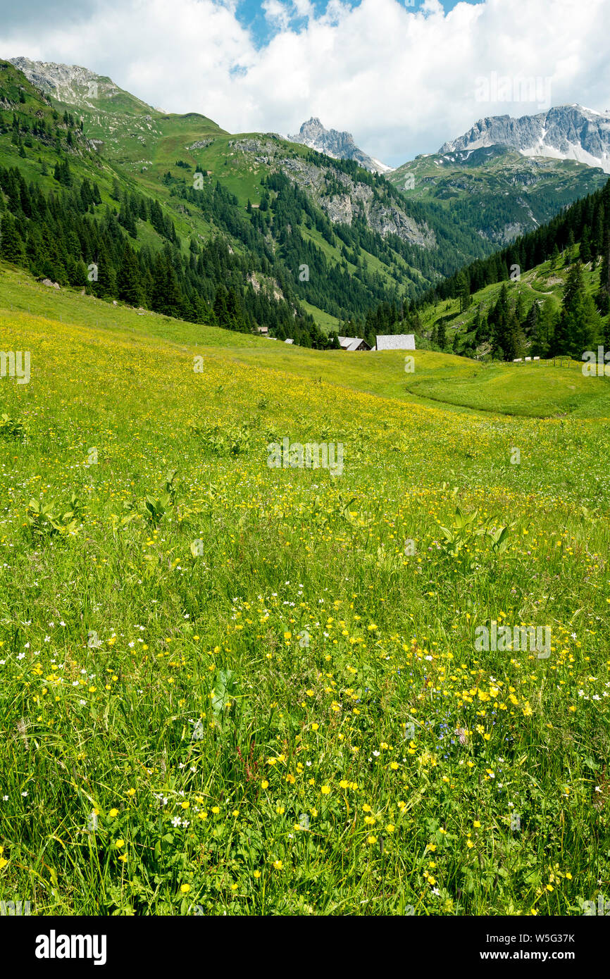 Austria, UNESCO's Biosphere Reserve Salzburg's Lungau,Riedingtal Nature ...