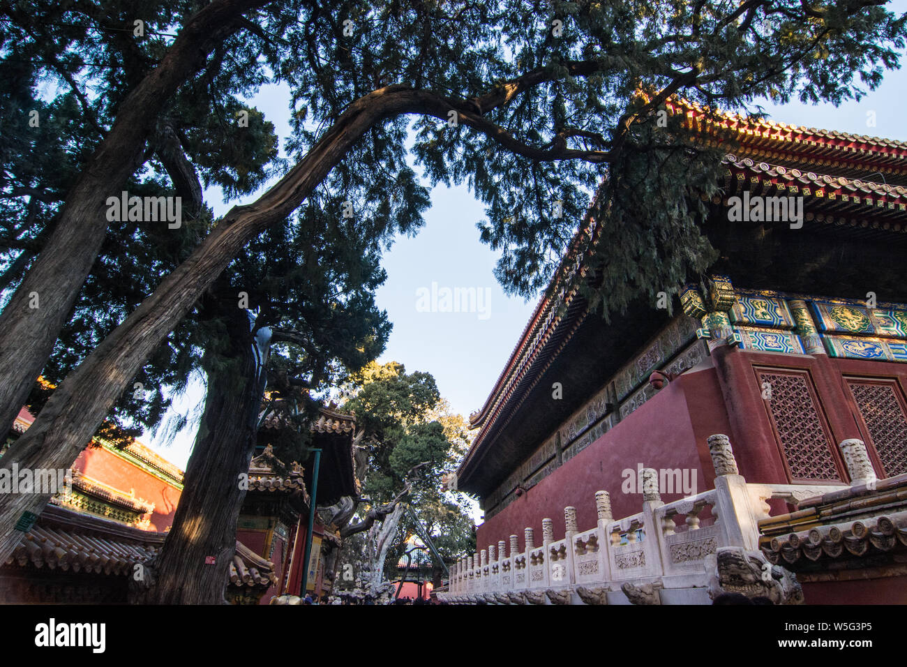 A view of the Palace Museum, also known as the Forbidden City, in ...