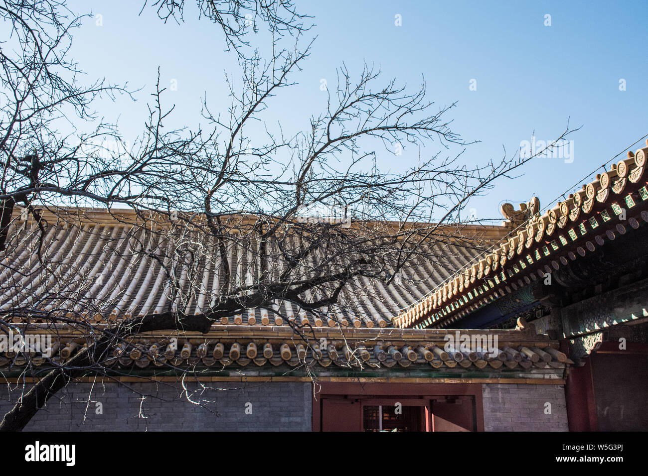 A view of the Palace Museum, also known as the Forbidden City, in ...