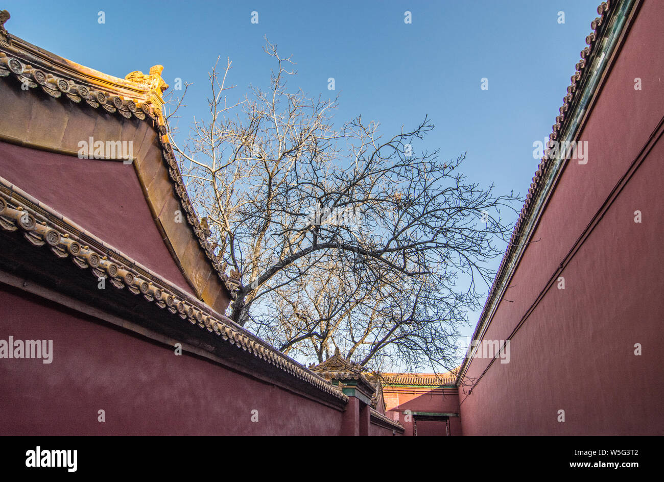 A view of the Palace Museum, also known as the Forbidden City, in ...