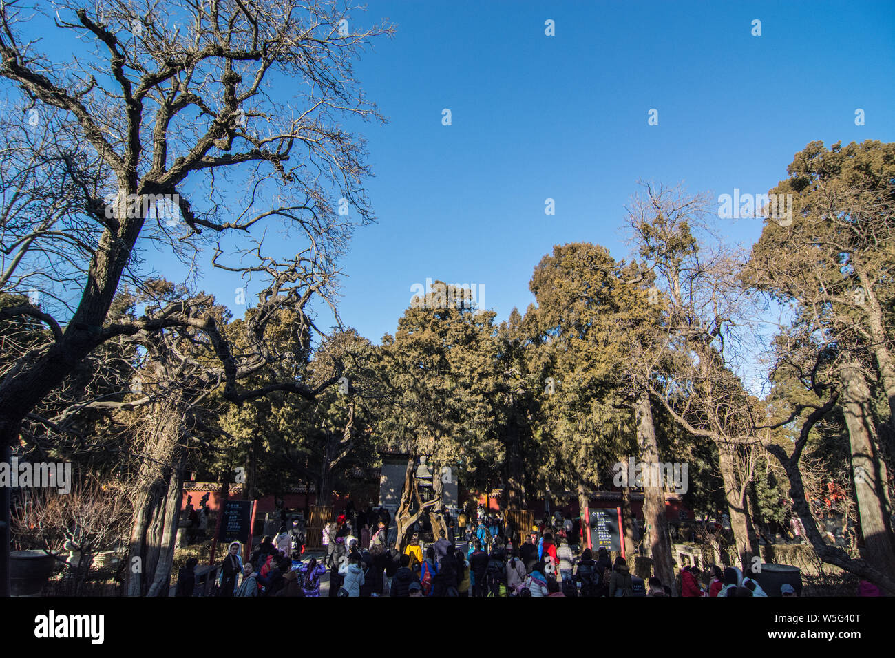 A view of the Palace Museum, also known as the Forbidden City, in ...