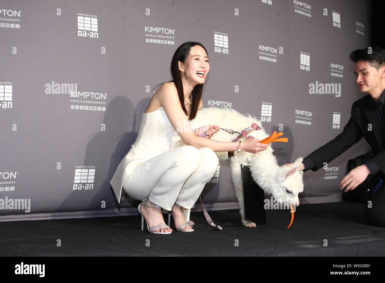 German-born Taiwanese actress Janine Chang Chun-ning attends a hotel ...