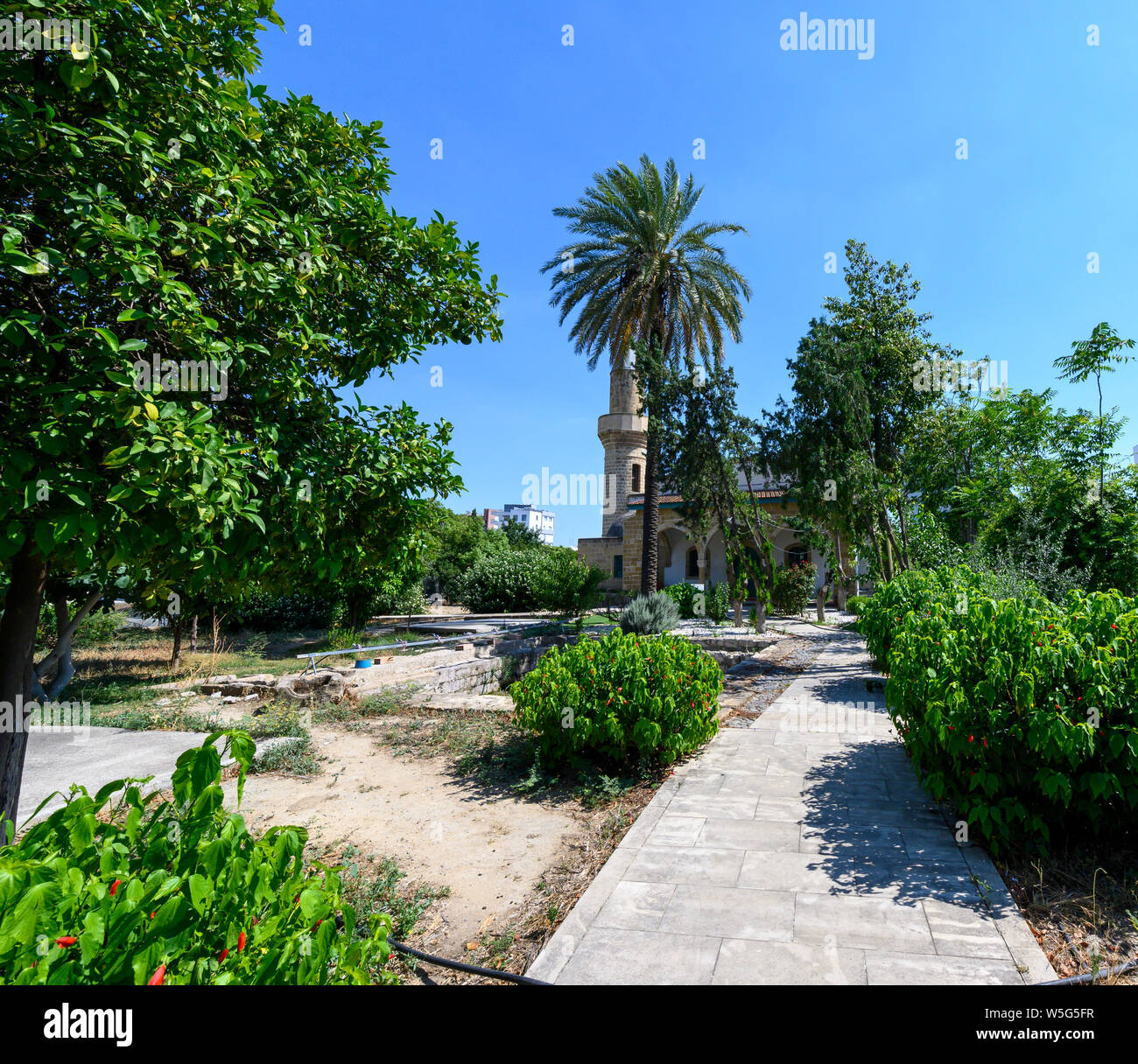 Mosque nicosia hi-res stock photography and images - Alamy